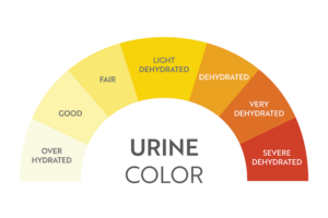 A Runner's Guide to Running in the Heat | McMillan Running