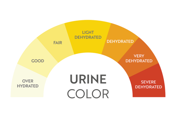 A Runner's Guide to Running in the Heat | McMillan Running